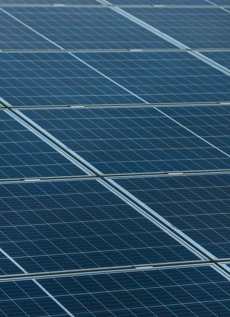 Sustainability Report | Primark Cares (UK)